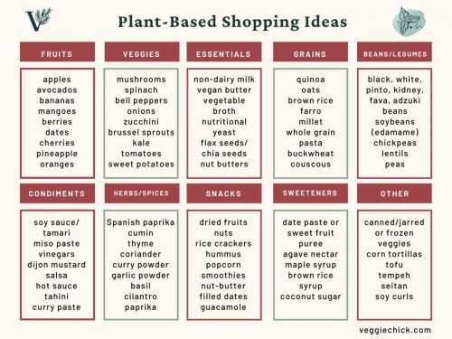 Preparing for a Plant-Based Kitchen - Veggie Chick